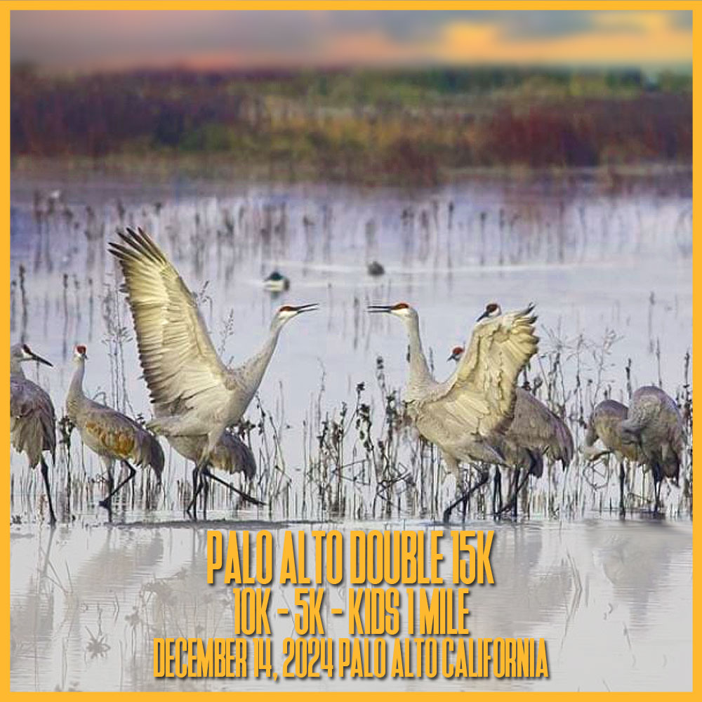 Double Running - Double Road Race